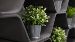 FSP relocates its HQ to pioneering net zero carbon ‘Here+Now’ building ...