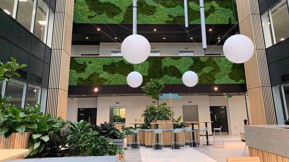 FSP relocates its HQ to pioneering net zero carbon ‘Here+Now’ building ...